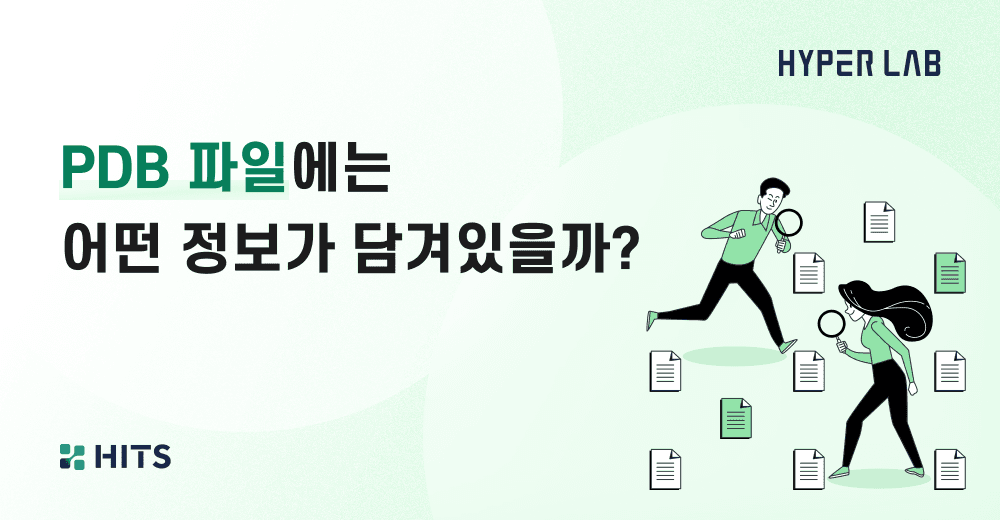 PDB 파일에는 어떤 정보가 담겨있을까?
