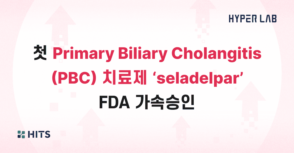 첫 Primary Biliary Cholangitis (PBC) 치료제 ‘seladelpar’ FDA 가속승인